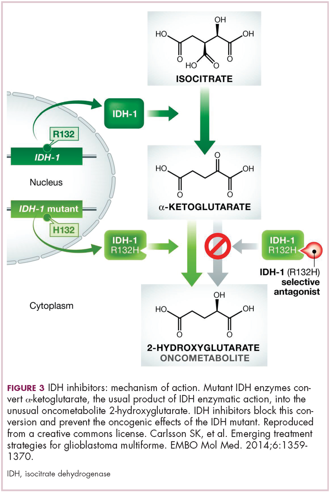 Hallmark tumor metabolism becomes a validated therapeutic target ...