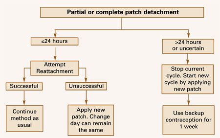 Transdermal contraception: update on clinical management | MDedge