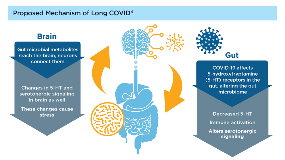 Long COVID And The Gastrointestinal System Emerging Evidence GI And