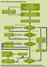 The Surviving Sepsis Campaign | The Hospitalist