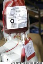 What Are the Indications for a Blood Transfusion? | The Hospitalist