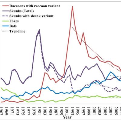 Rabies: How to respond to parents’ questions | MDedge Pediatrics