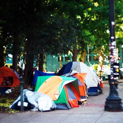 Homelessness in urban areas: The role of mental illness and need for ...