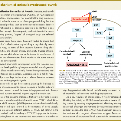 Bevacizumab Structure