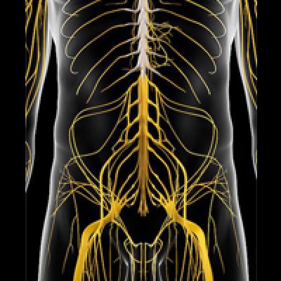 Autonomic dysfunction: A guide for FPs | MDedge Family Medicine
