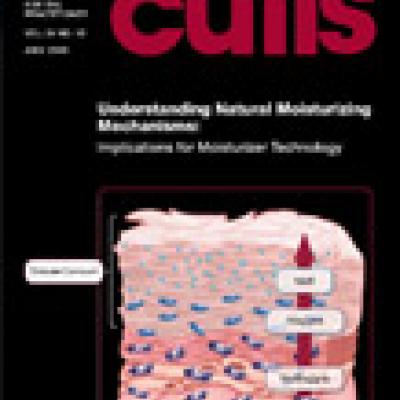 Understanding Natural Moisturizing Mechanisms: Implications for ...