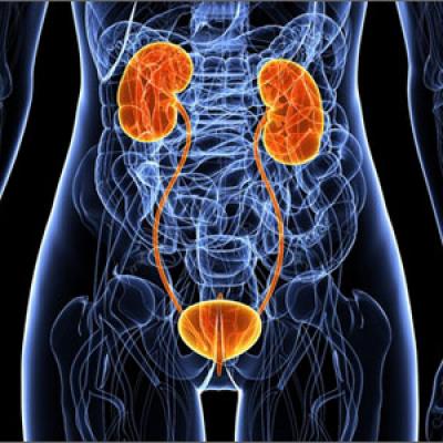 2014 Update on infectious disease | MDedge ObGyn