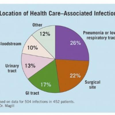 Pneumonia Prevalence Highest of Health Care-Associated Infections | GI ...