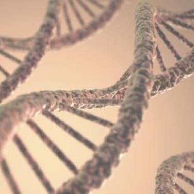 PALB2 mutation increased lifetime risk of breast cancer | MDedge ObGyn