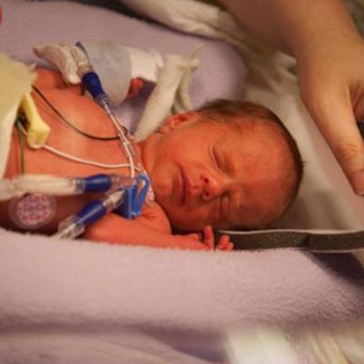 Parents of very preterm and VLBW infants have resilient quality of life ...