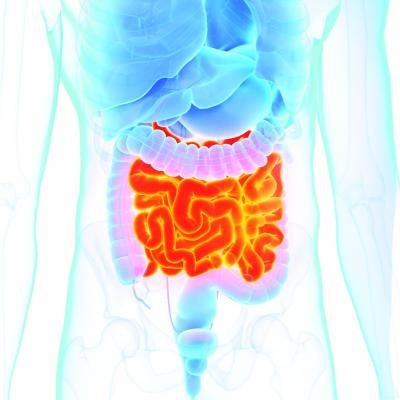 Novel oral inhibitor may block intestinal damage in celiac disease ...