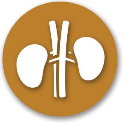 Proteinuria and Albuminuria: What’s the Difference? | Clinician Reviews