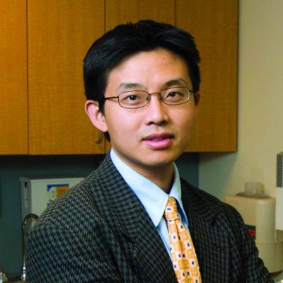 Telltale dermoscopic features of melanomas lacking pigment reviewed ...