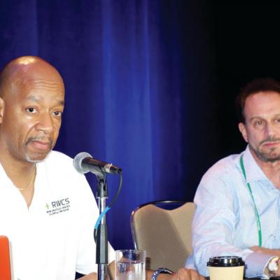 Concomitant methotrexate boosts pegloticase efficacy in gout patients ...