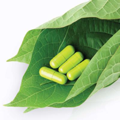 Kratom: An Emerging Drug of Abuse | MDedge Emergency Medicine