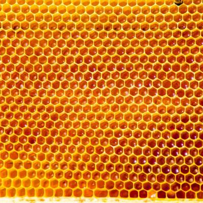 iPhone trypophobia and chicken kissin’ | MDedge Internal Medicine