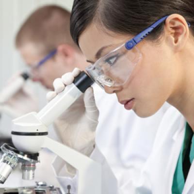 How Can Dermatologists Help Dermatopathologists Work “Smarter” for Them ...