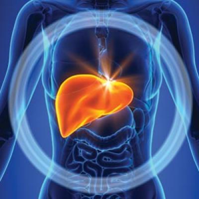 75-Year-Old Woman With Elevated Liver Enzymes | Clinician Reviews