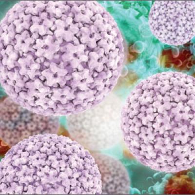 Advances in protection against oncogenic human papillomaviruses: The 9 ...