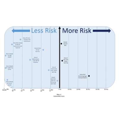 Automobile Injury: A Common Familiar Risk for Presenting and Comparing ...