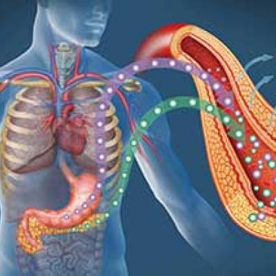 Case Report: A Bittersweet Death | MDedge Emergency Medicine