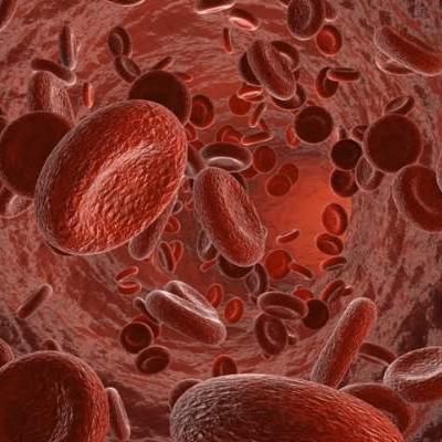 Dematin key to erythrocyte membrane stability in mice | MDedge ...