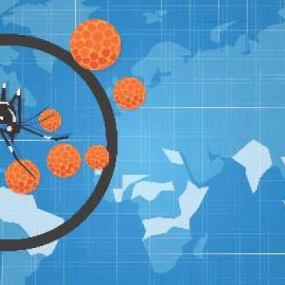 Colombia reports first Zika deaths, all in medically compromised ...