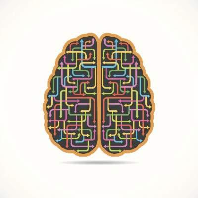 Insulin Resistance Linked to Decreased Brain Metabolism, Memory ...