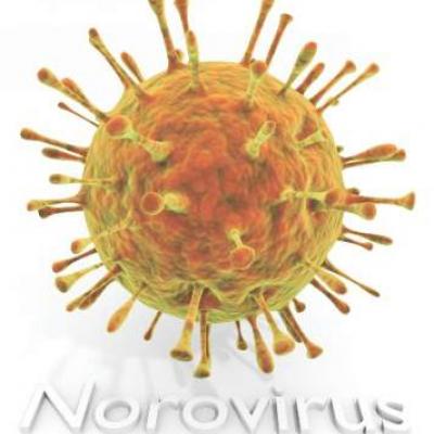 Patient isolation key to containing in-hospital norovirus | MDedge ...