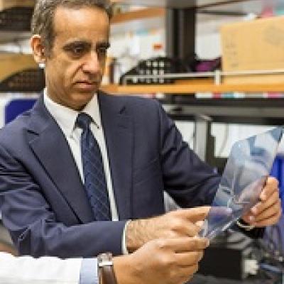 Combo shows potential for treating PEL | MDedge Hematology and Oncology