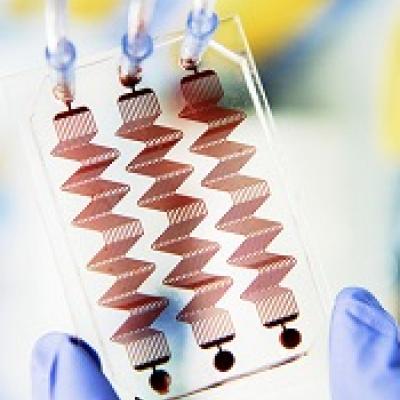 Team creates ‘more reliable’ coagulation assay | MDedge Hematology and ...