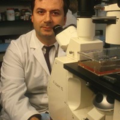 Engineered protein overcomes radiation resistance in ALL | MDedge ...