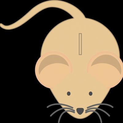 If you give a mouse a genetically engineered bitcoin wallet | MDedge ...