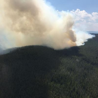 Wildfires’ toxic air leaves damage long after the smoke clears ...